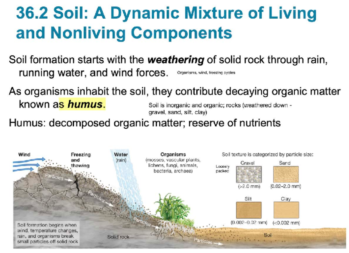 Soil Living and Nonliving Comp - BIO 2010 - Studocu
