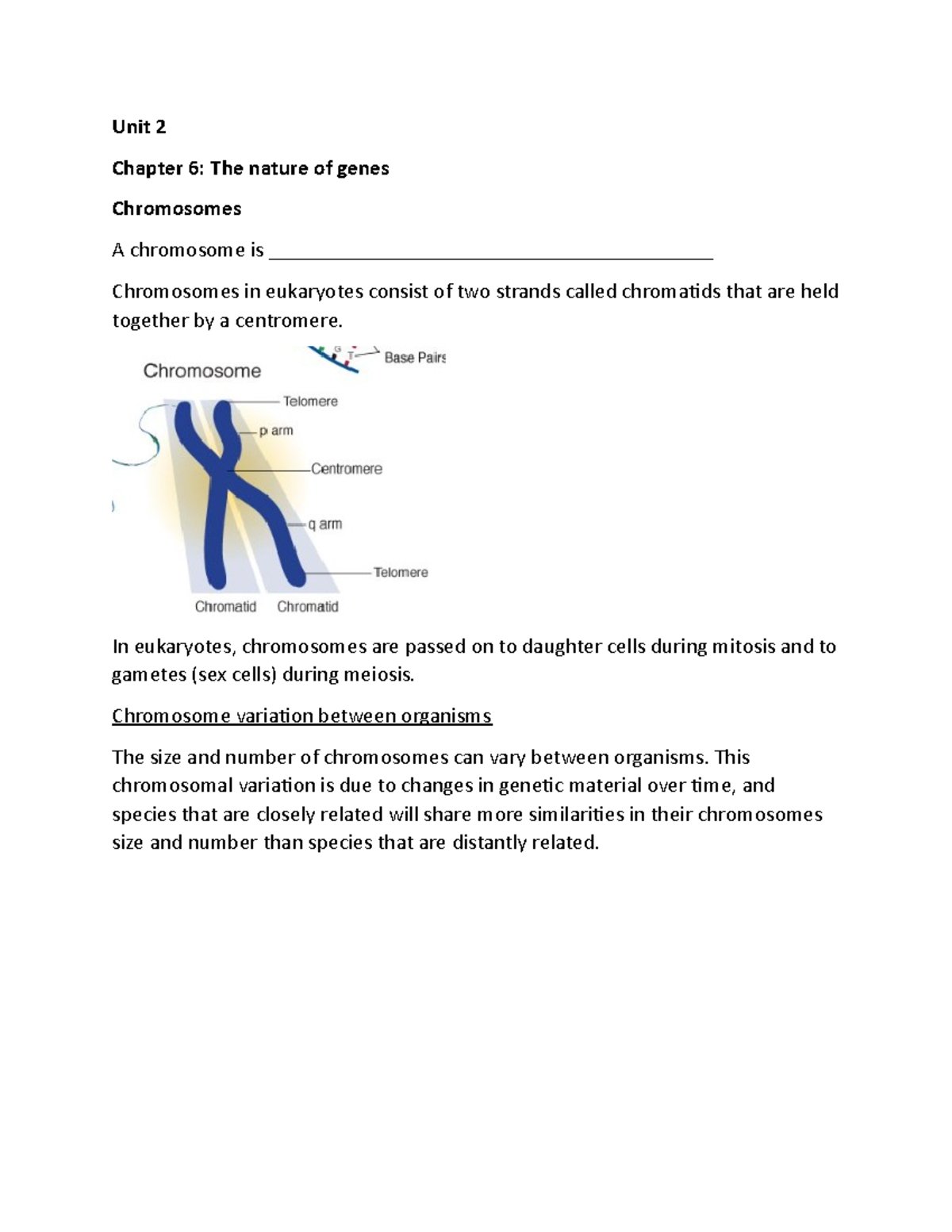 Chapter 6 The nature of genes 2022 - Unit 2 Chapter 6: The nature of ...