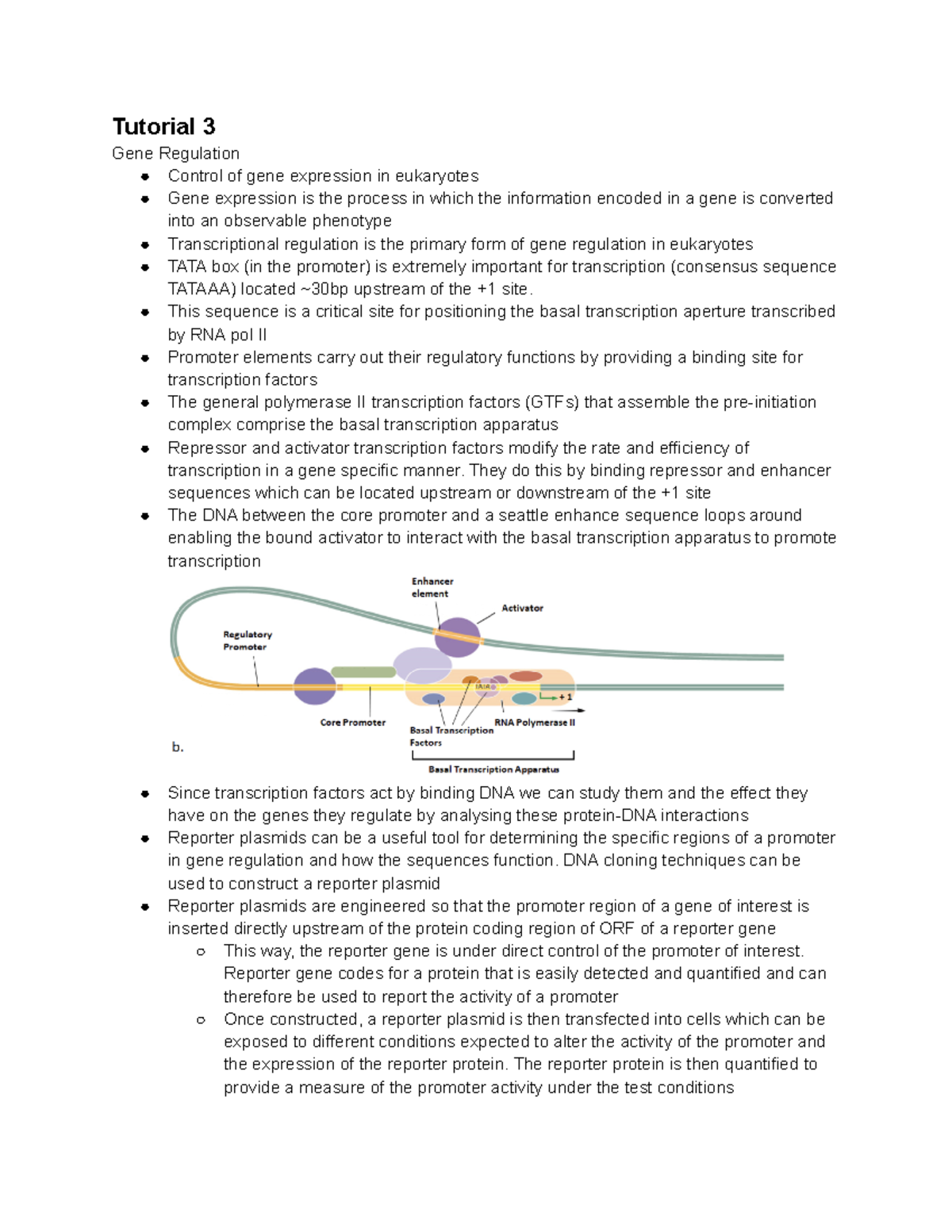 Tutorial 3 notes - Tutorial 3 Gene Regulation Control of gene ...