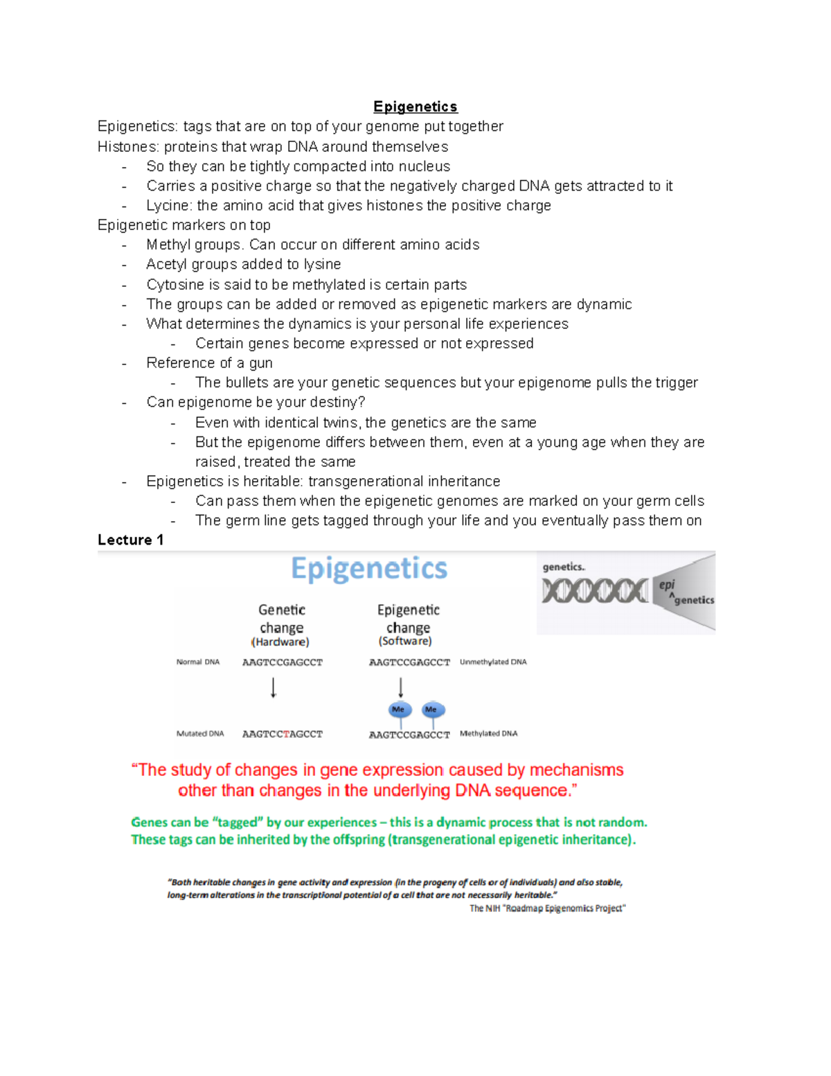 Cycle 11 - Lecture notes - Epigenetics Epigenetics: tags that are on ...