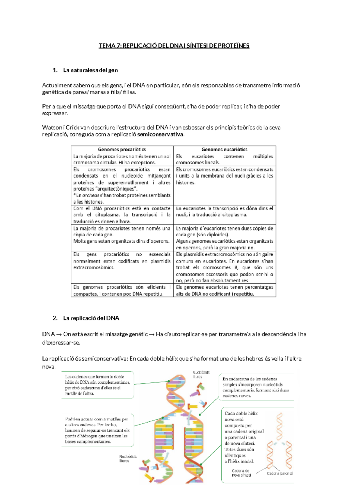 TEMA 7 DNA i Proteïnes - Resum 2n Batxillerat biologia. Grup santillana. - TEMA 7: REPLICACIÓ ...