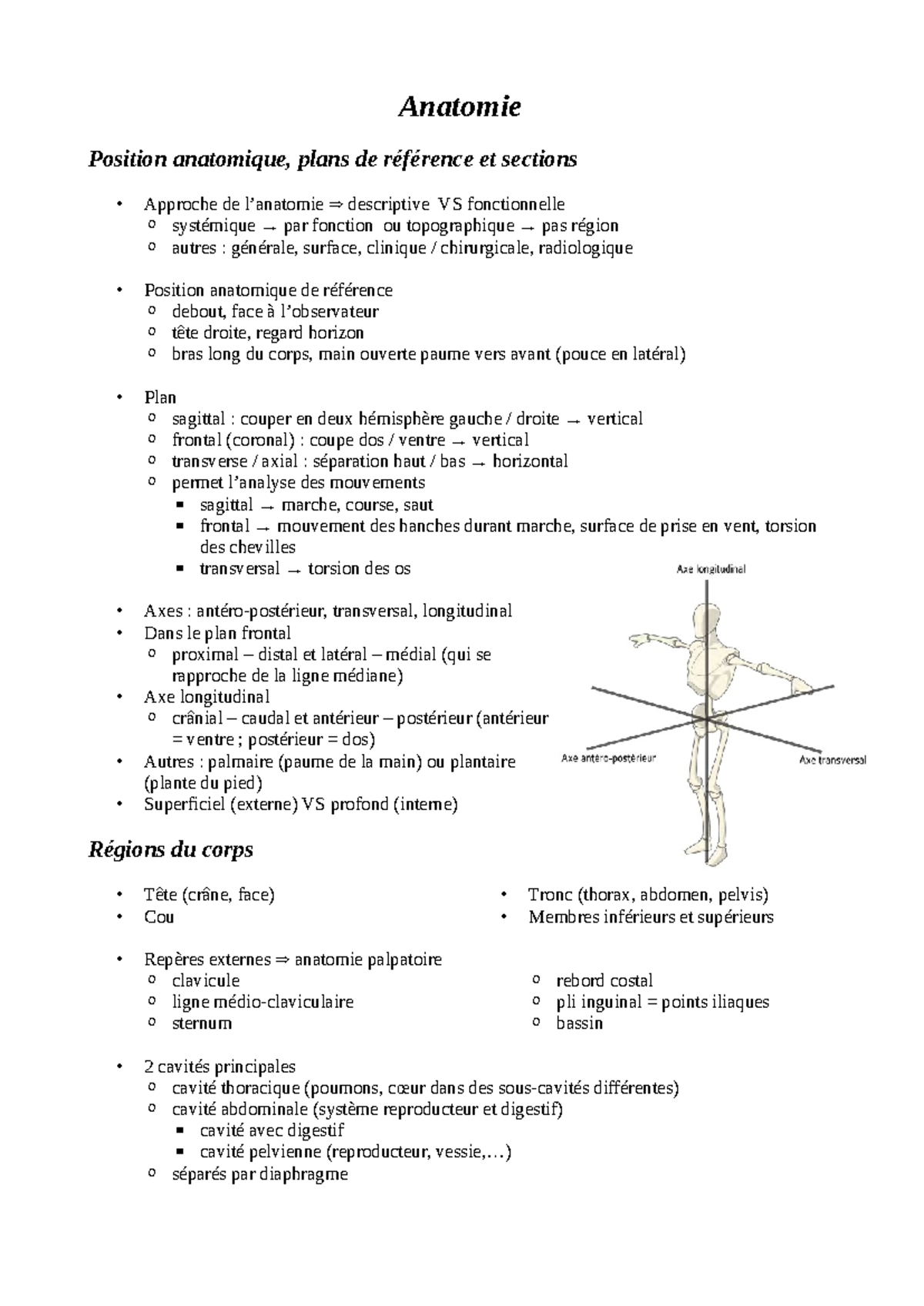 Anatomie intro - mis pour acces premium - Anatomie Position anatomique ...