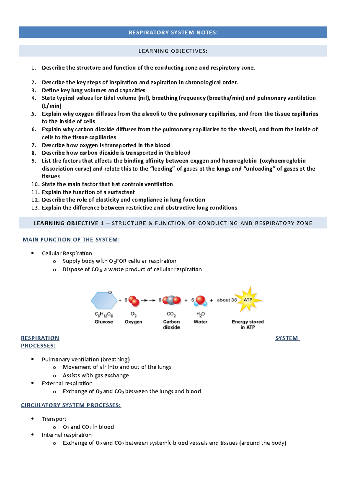8. Respiratory System - RESPIRATORY SYSTEM NOTES: LEARNING OBJECTIVES ...