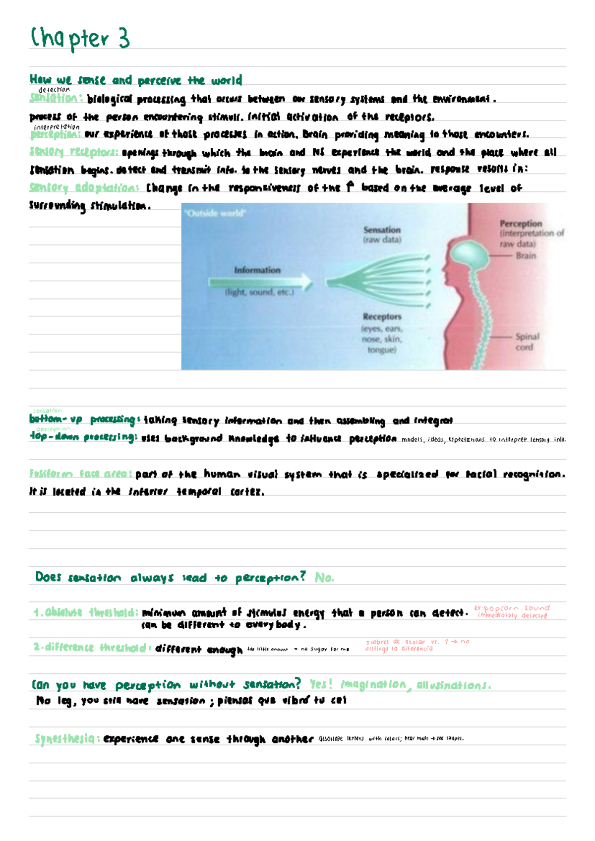 Psychology Chapter 3. How We Sense And Perceive The World - Chapter 3 ...