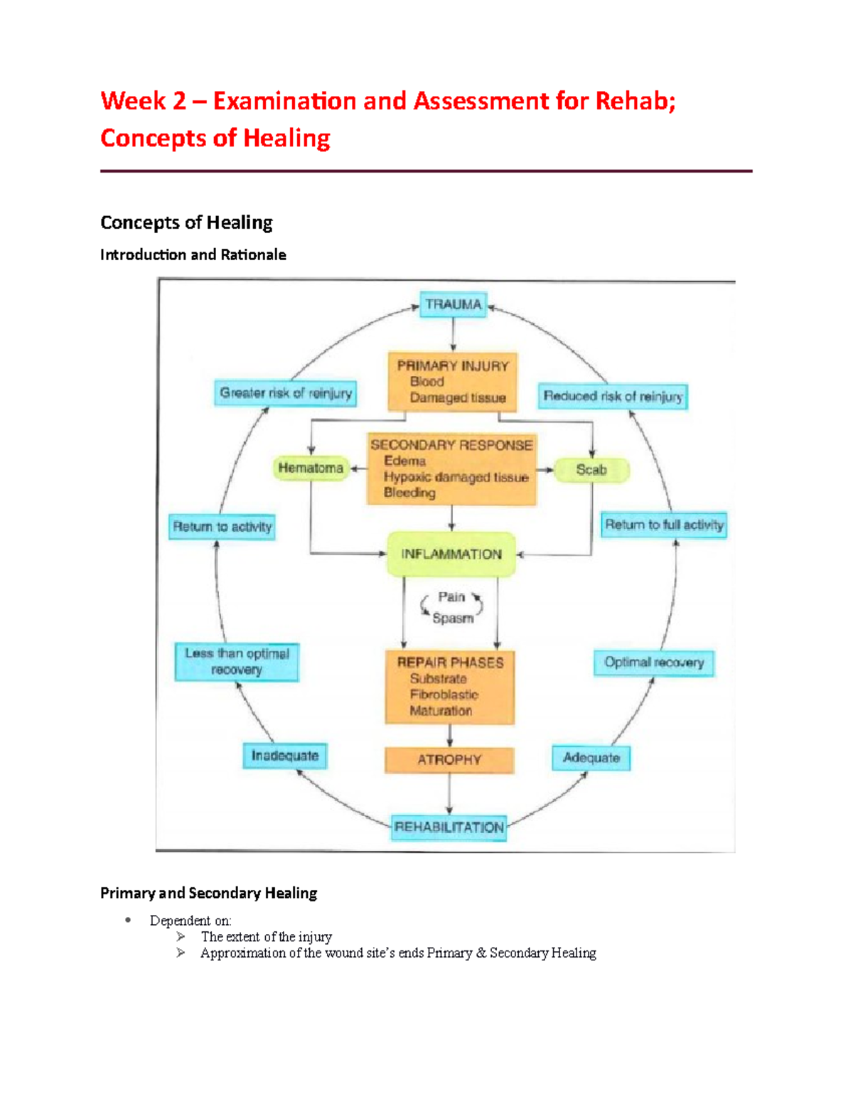 Week 2 - Examination and Assessment for Rehab; Concepts of Healing ...