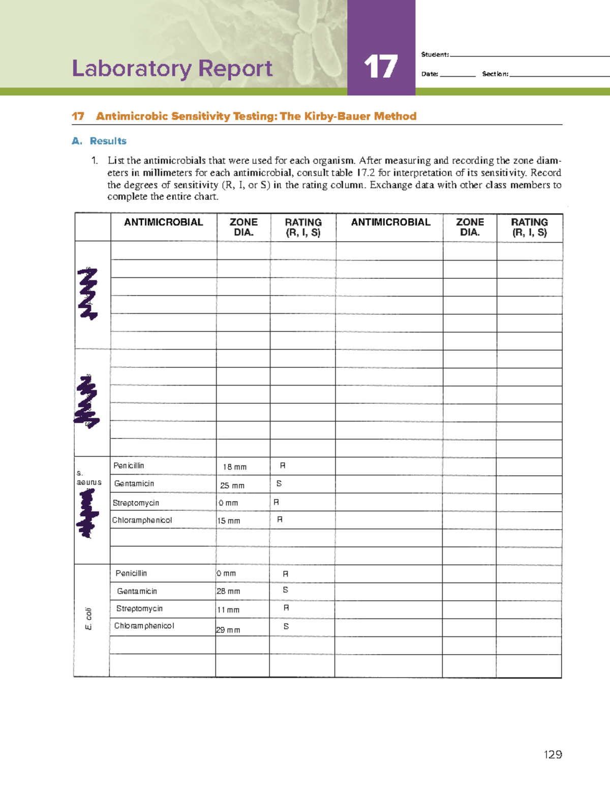 Exercise 17 Lab Report Antimicrobic sensitivity - Laboratory Report ...