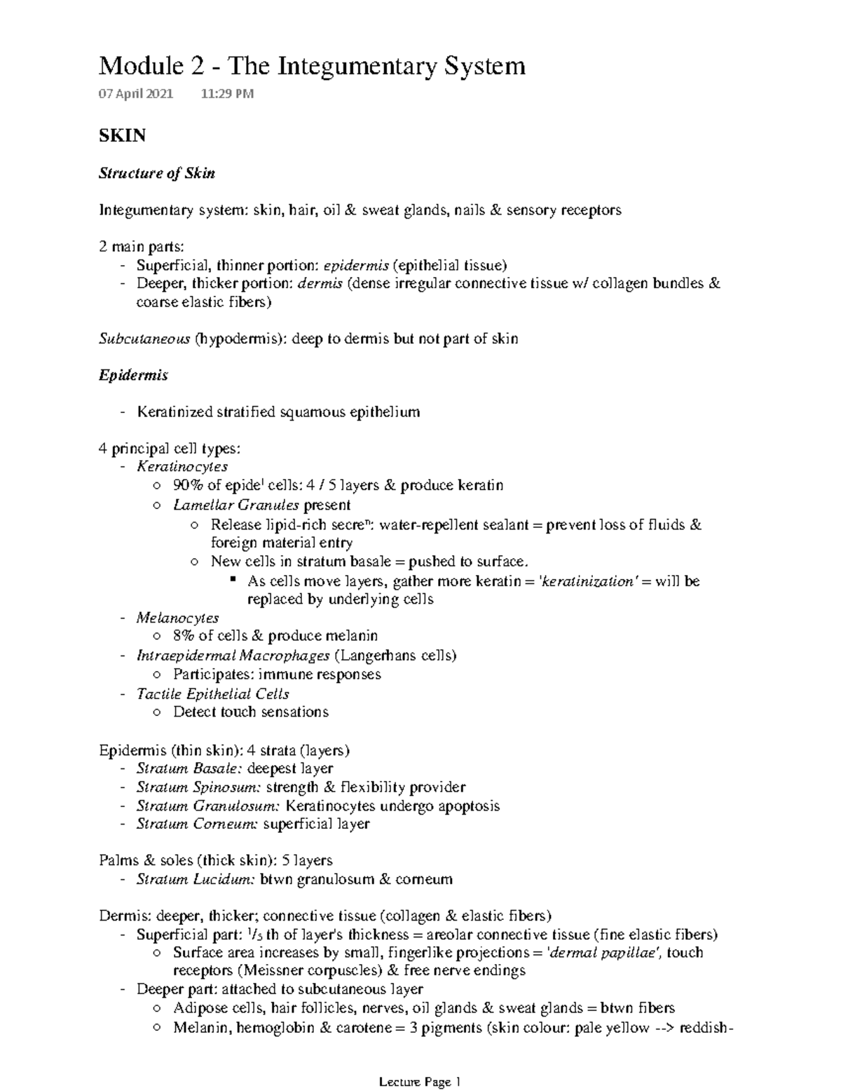APH - The Integumentary System - SKIN Structure of Skin Integumentary ...