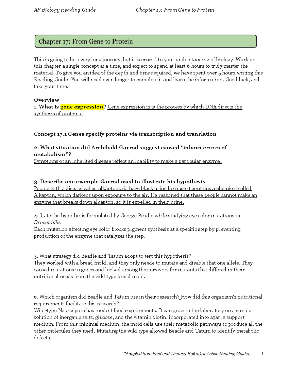 Chapter 17 - From Gene to Protein - This is going to be a very long ...