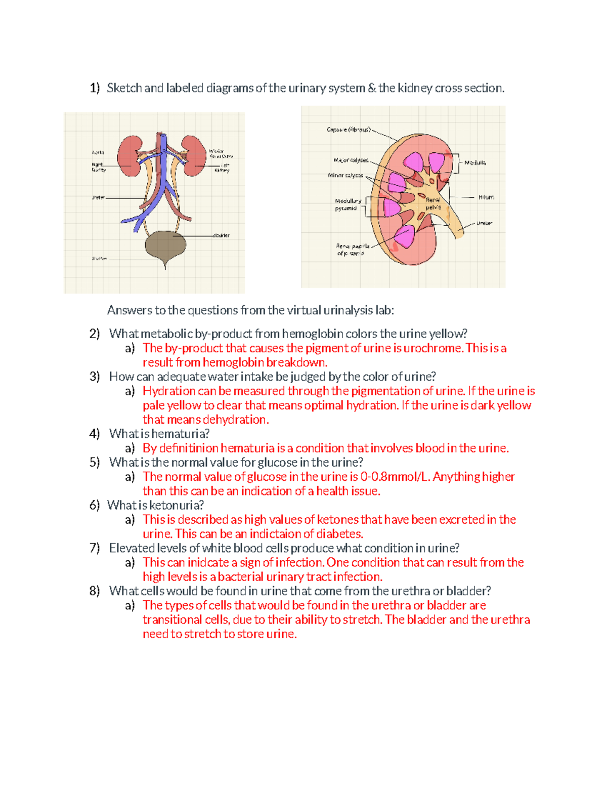 Lab 10 hw - Professor Stoski - Sketch and labeled diagrams of the ...