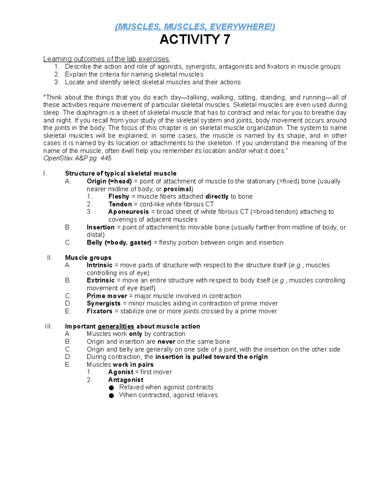 Activity 7- Muscles, Muscles Everywhere - (MUSCLES, MUSCLES, EVERYWHERE ...
