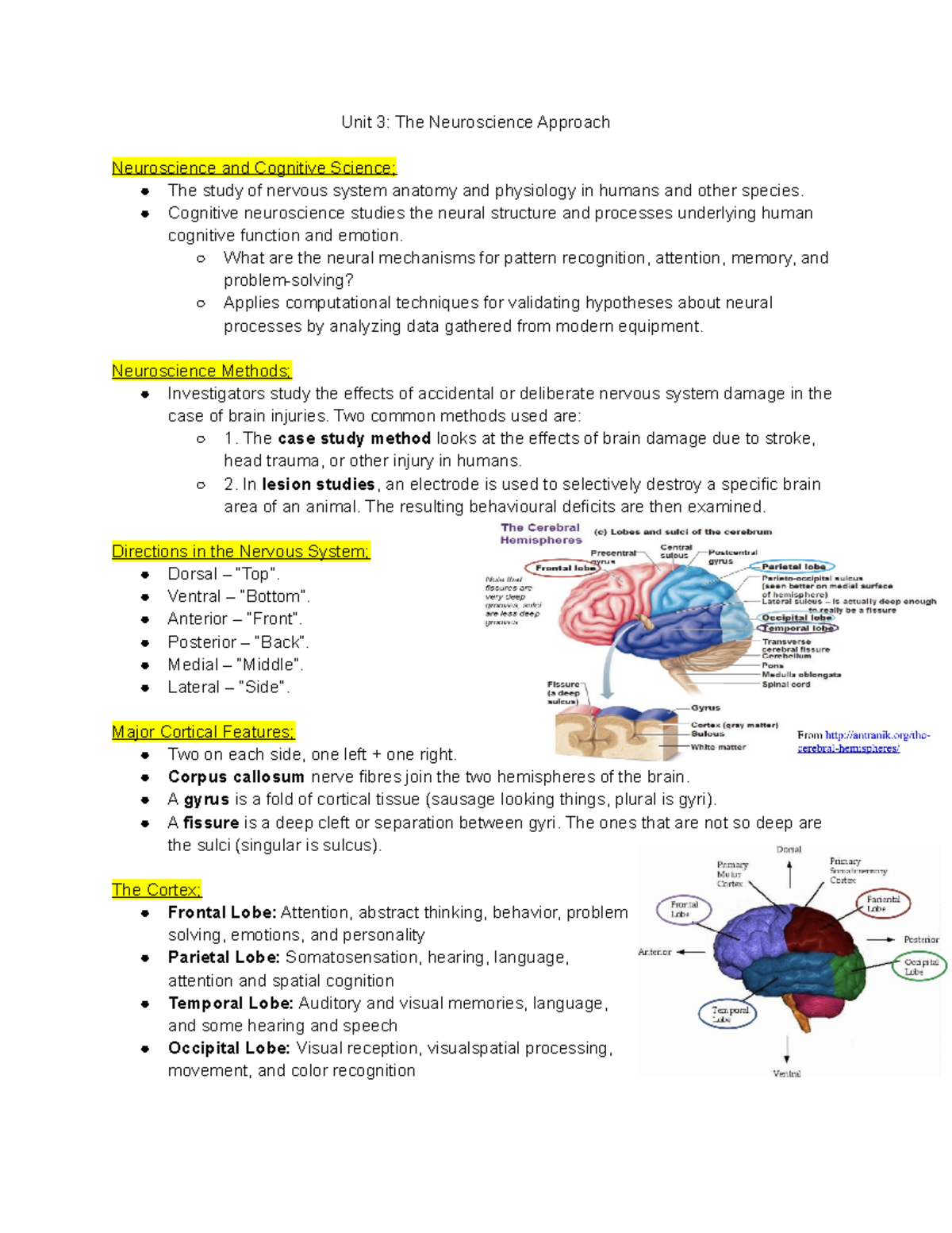 Unit 3 The Neuroscience Approach - Unit 3: The Neuroscience Approach ...
