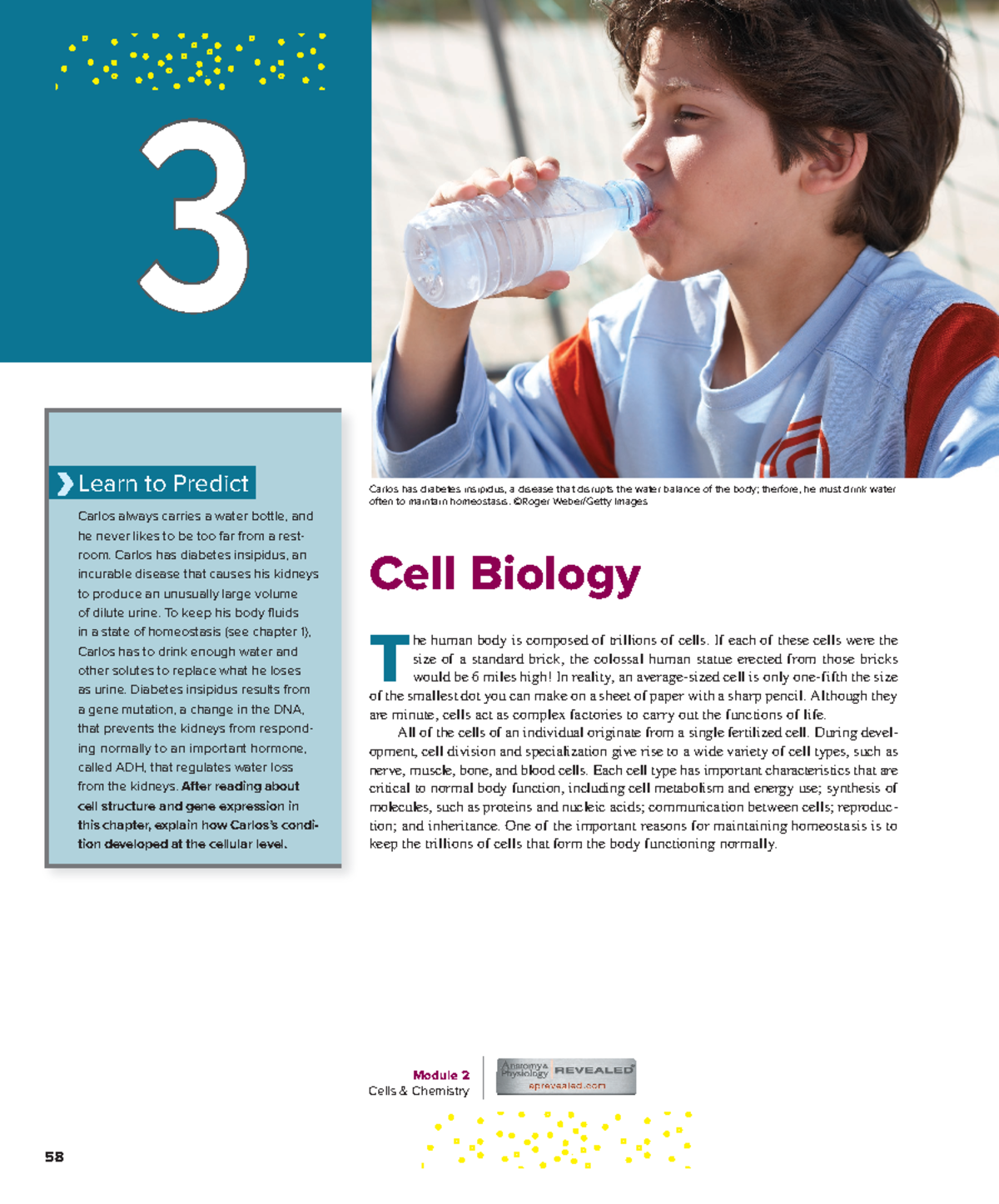 Anaphy L2 (CELL Biology) - 58 Module 2 Cells & Chemistry Carlos has ...