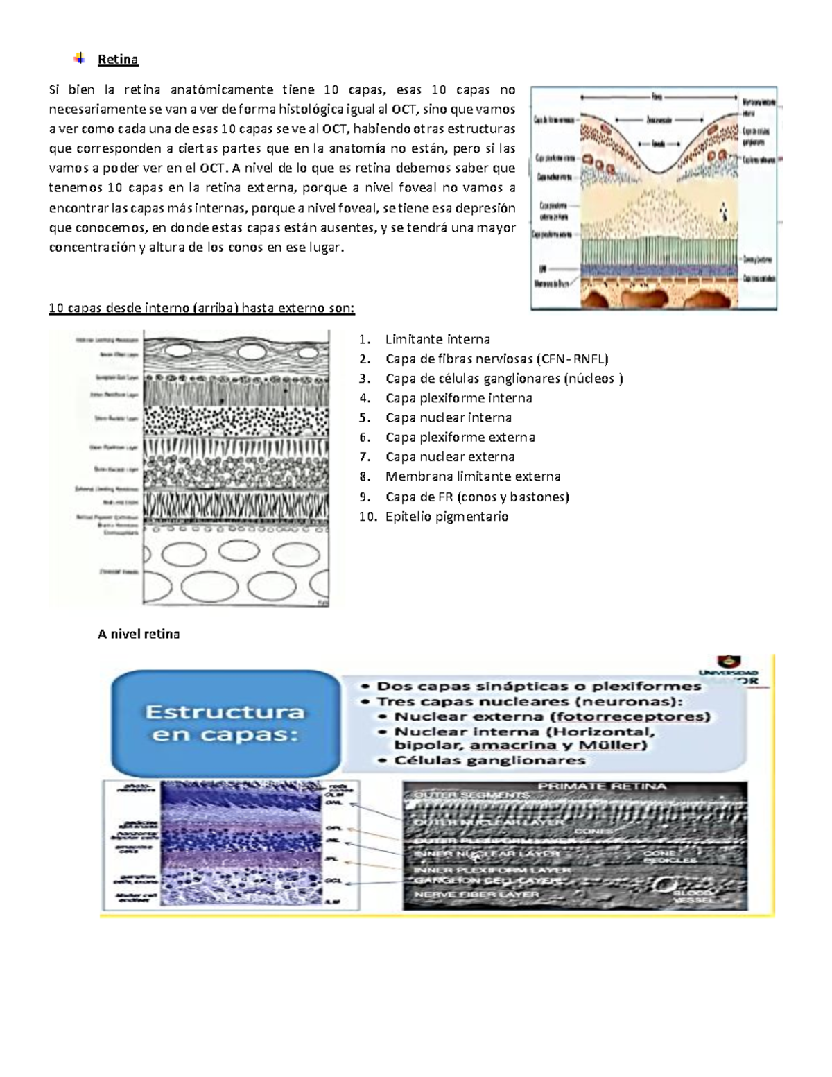 1.2 Generalidades OCT - Retina Si bien la retina anatómicamente tiene ...