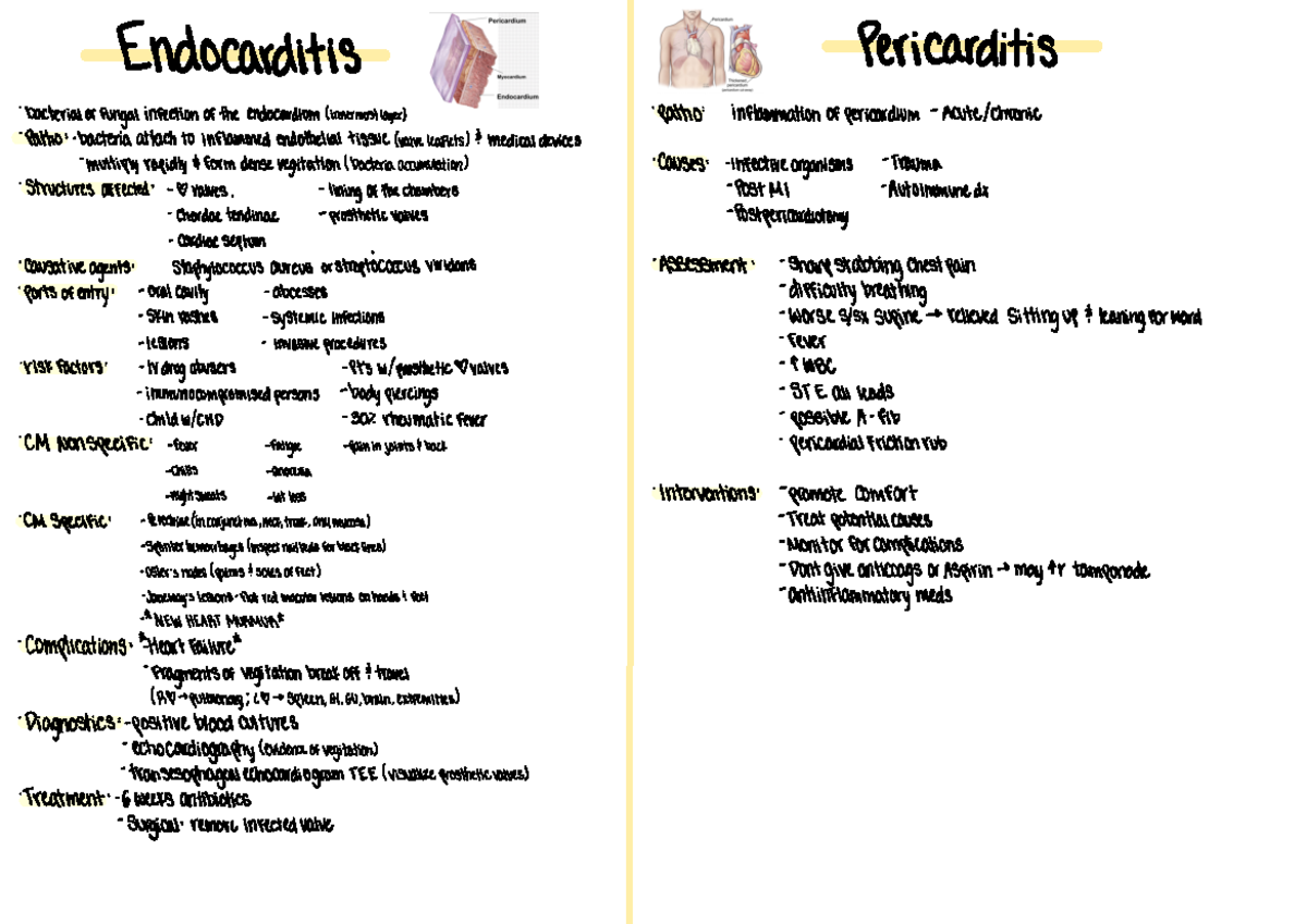 N251 Endocarditis vs Pericarditis Study Guide - Endocarditis ...