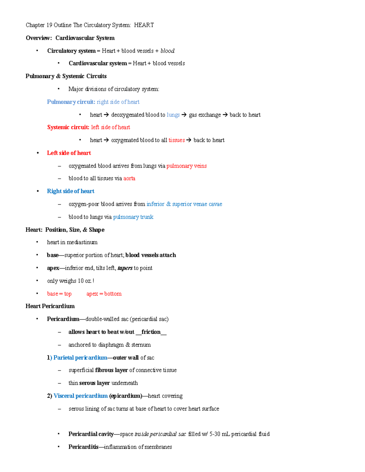 A&PII Chap19 Heart Outline - Chapter 19 Outline The Circulatory System ...