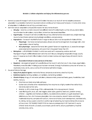 Abdominal soap note example - Documentation / Electronic Health Record ...