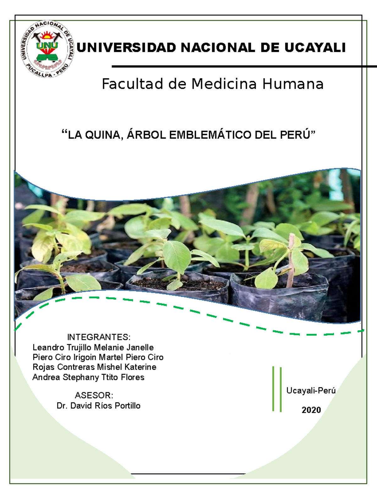 3.LA Quina Arbol Emblematico DEL PERU - Facultad de Medicina Humana “LA ...
