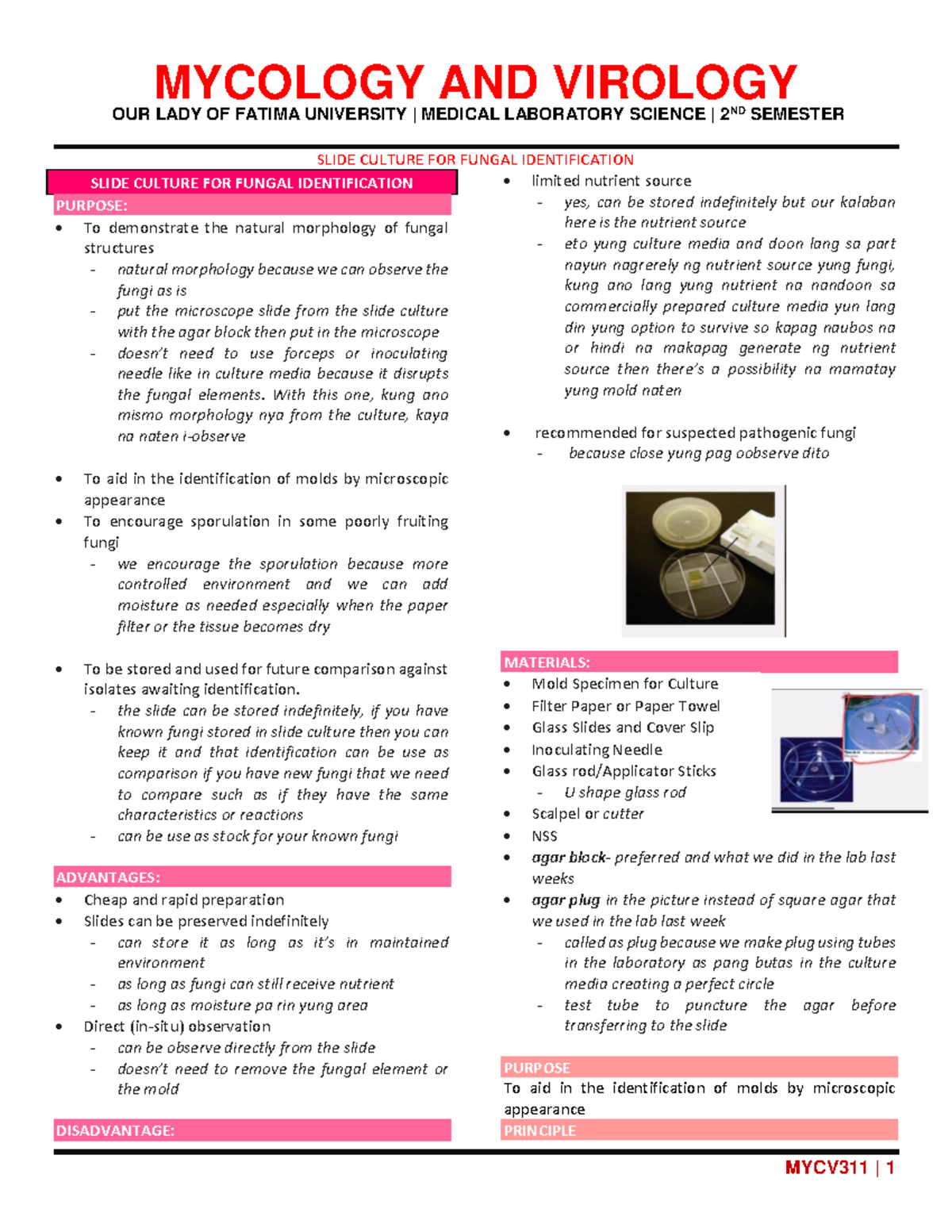 MYCV ALL LABORATORY - MYCOLOGY AND VIROLOGY SLIDE CULTURE FOR FUNGAL IDENTIFICATION MYCV311 | 1 ...