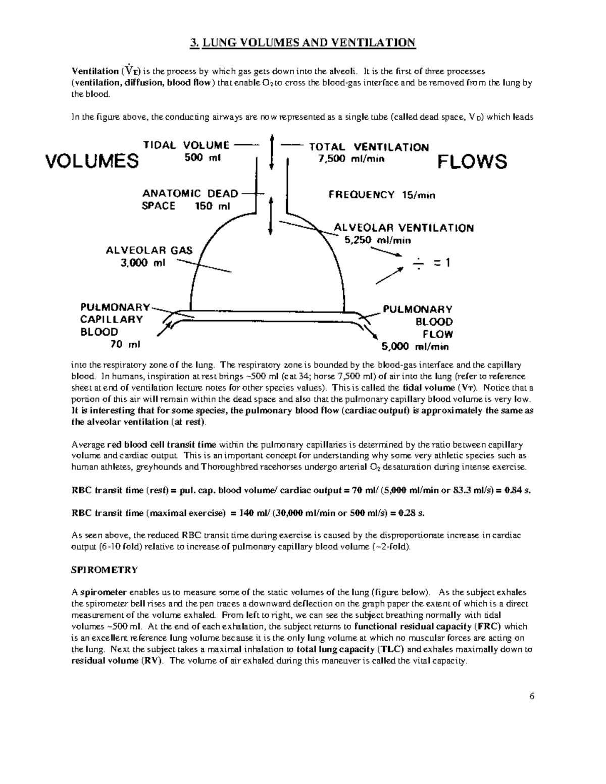 3KIN225Lung Vol Vent - Lecture notes 3 - 3. LUNG VOLUMES AND ...