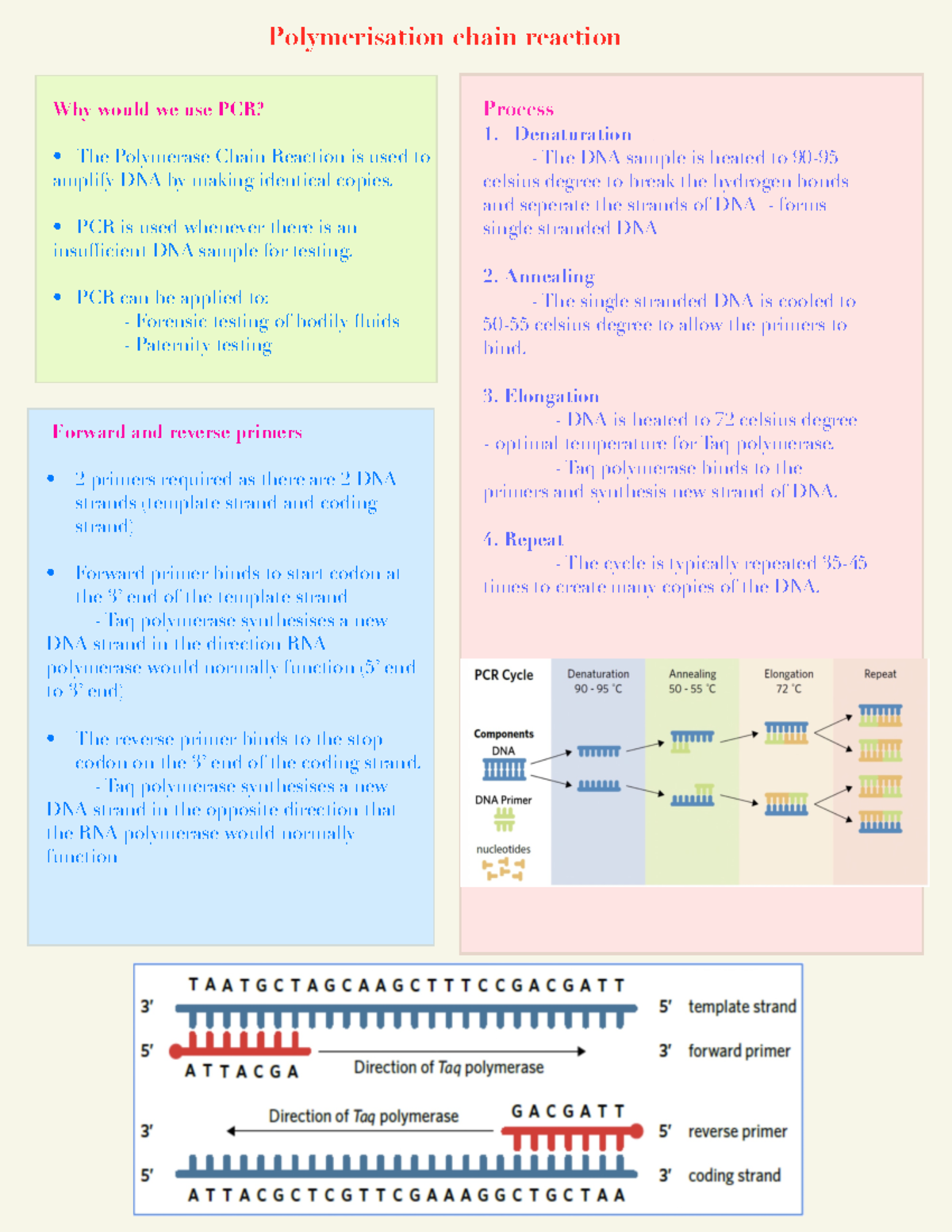 CPR - Hahahahahahehehehe - Polymerisation chain reaction ' Process ...