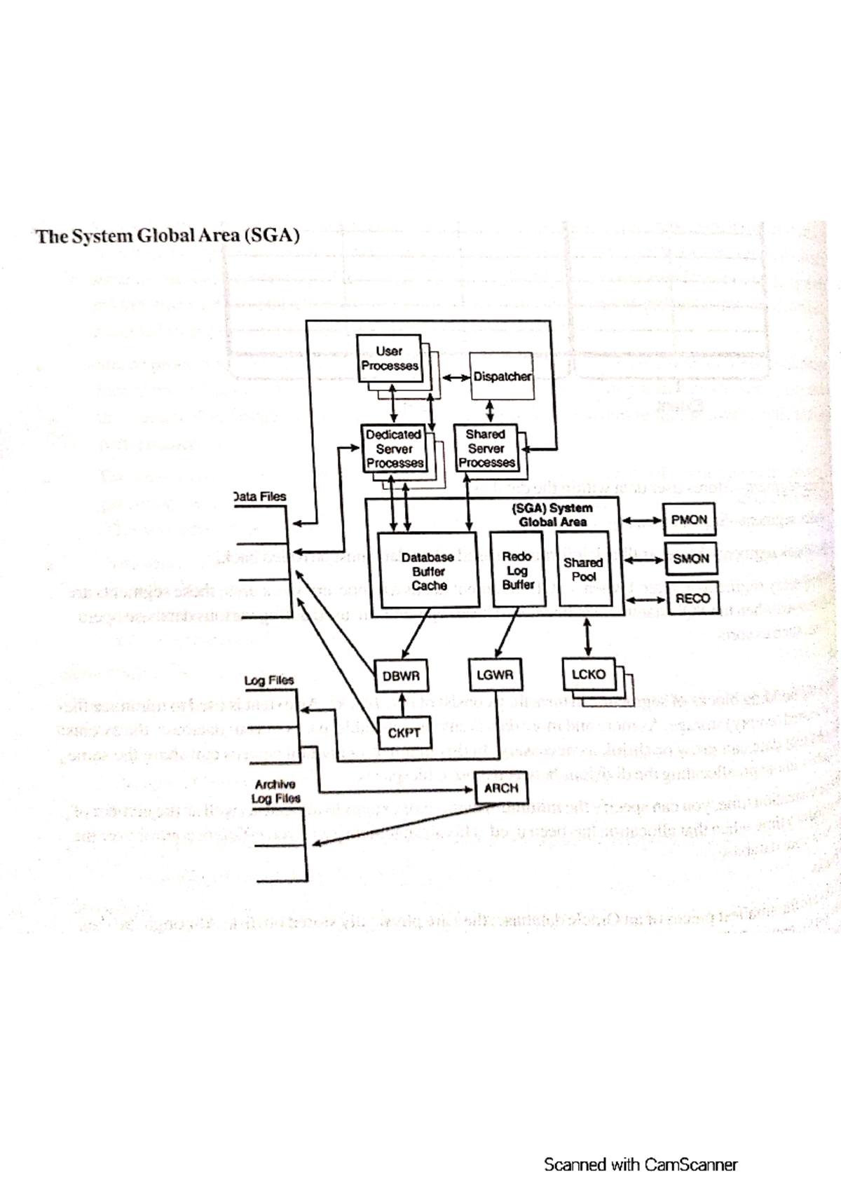 System global area - Science - Studocu