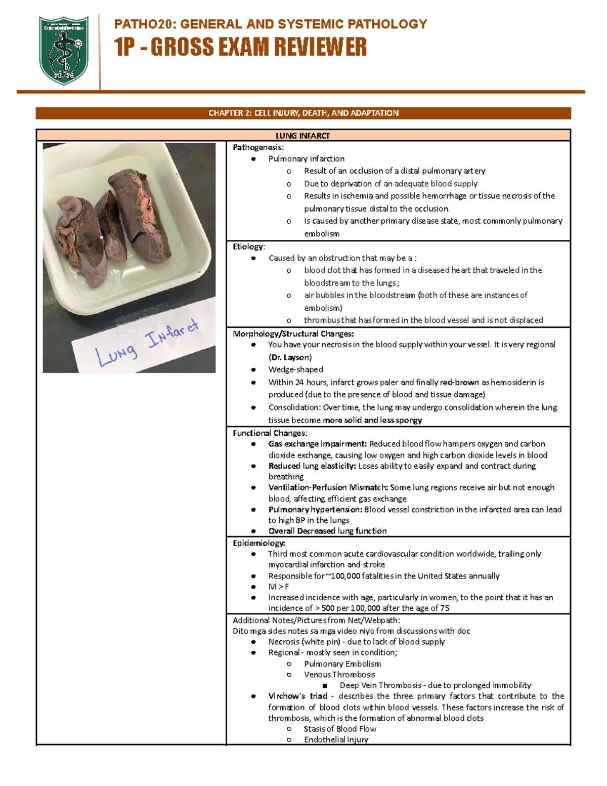Patho 20 Gross Exam - PATHO20: GENERAL AND SYSTEMIC PATHOLOGY 1P - GROSS EXAM REVIEWER CHAPTER 2 ...
