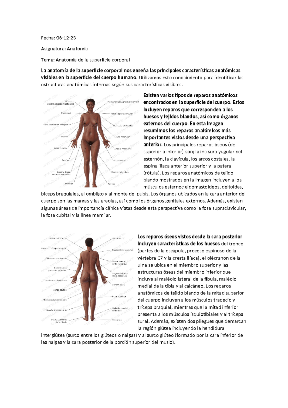 Anatomía de la superficie corporal - Utilizamos este conocimiento para ...