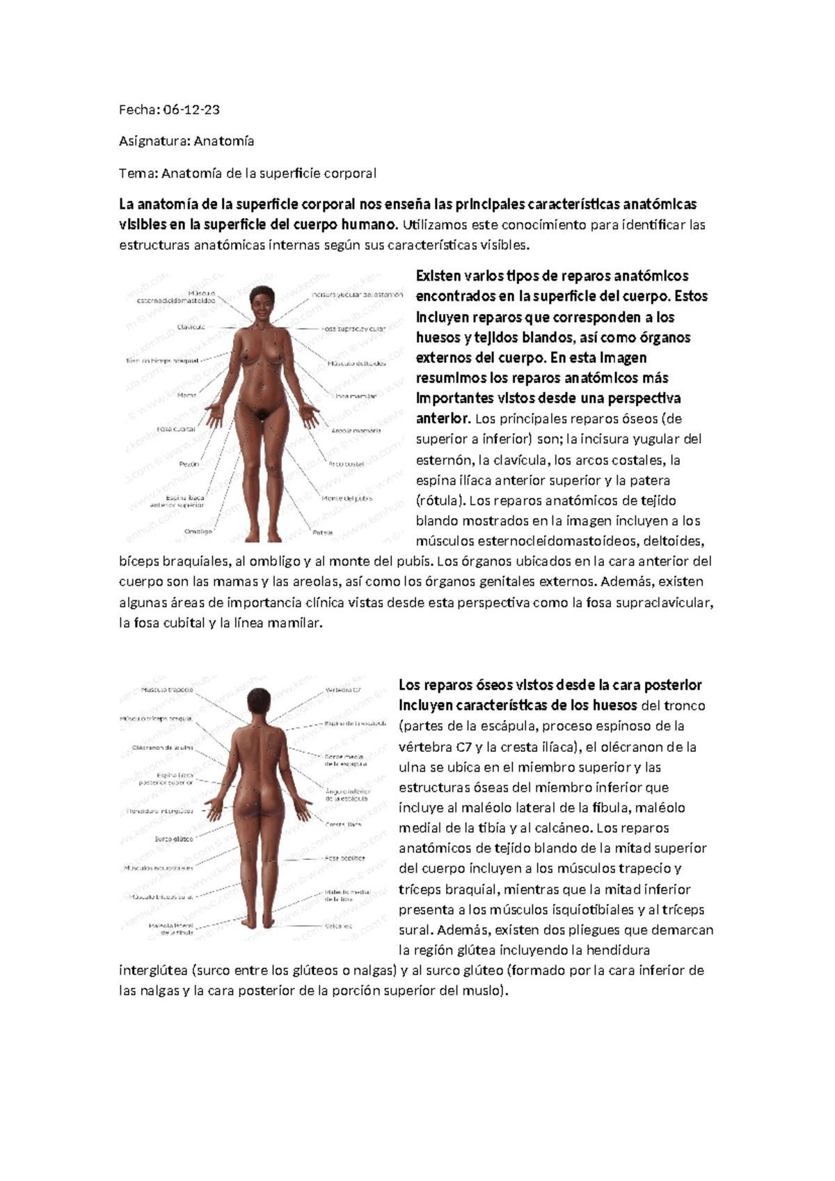 Historia de la Anatomia - Concepto de anatomía Rama de la biología que ...