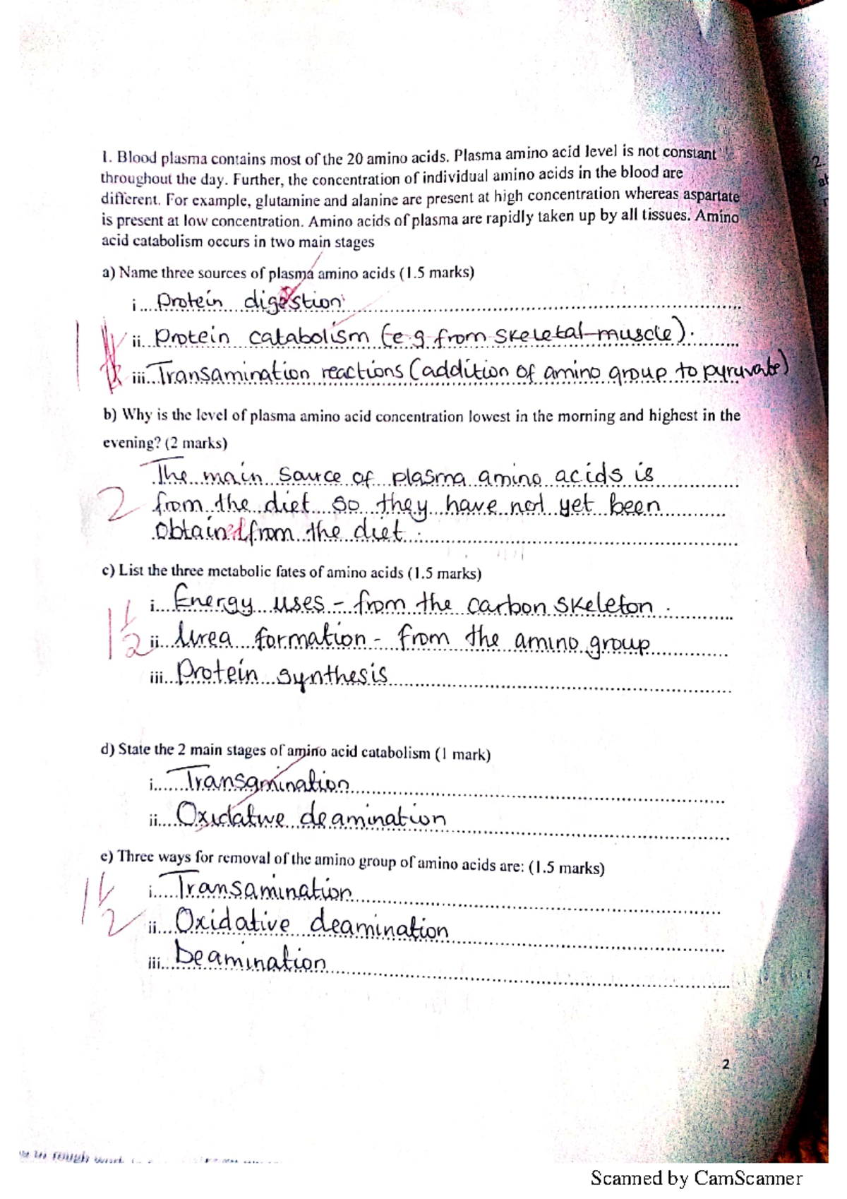 ANATOMY MBS 200 - Anatomy - Studocu
