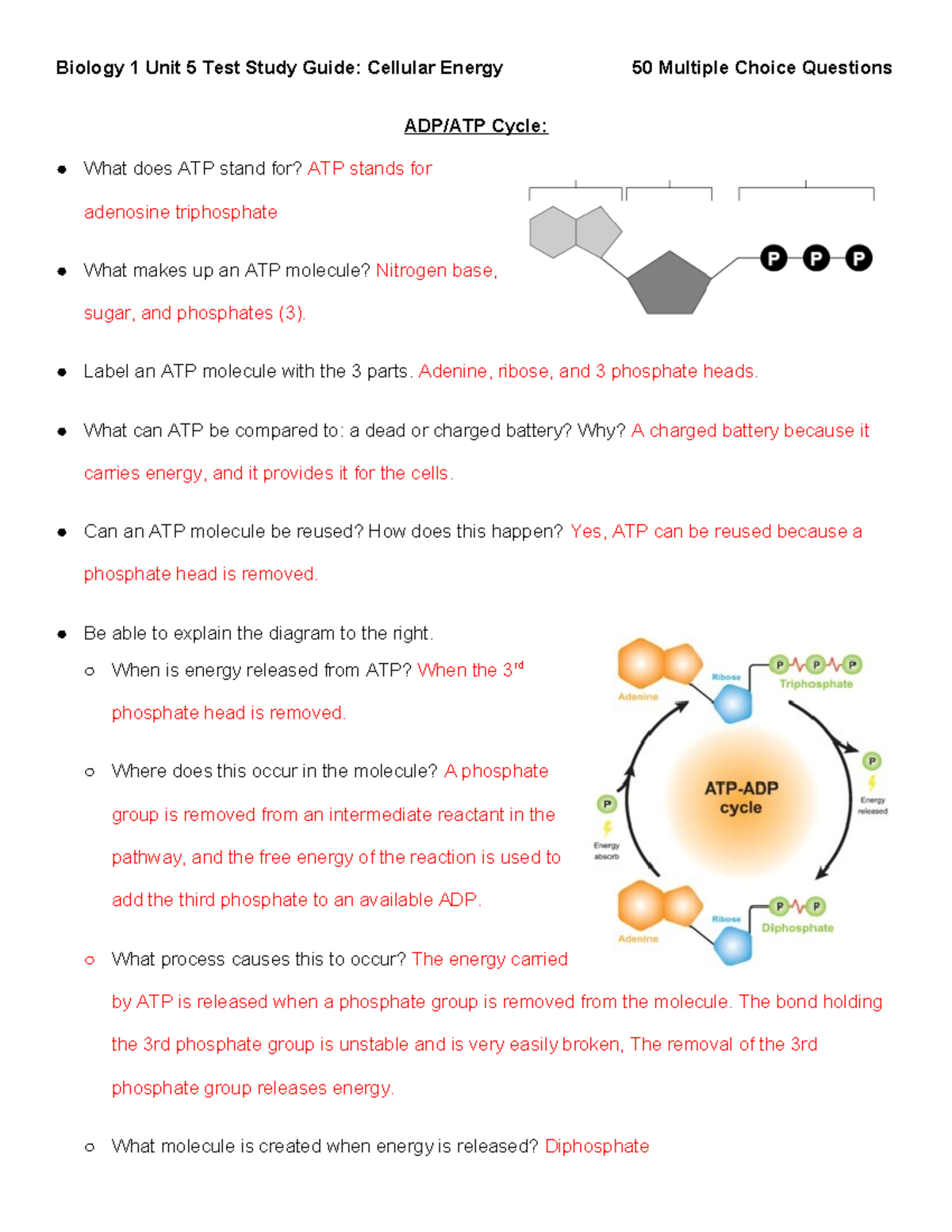 practice test for math - Biology 1 Unit 5 Test Study Guide: Cellular ...