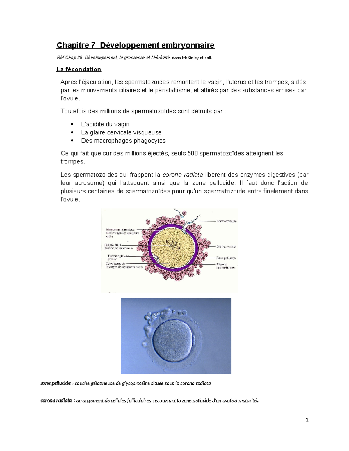 Chapitre 7 Dev embryo.A23 - Chapitre 7 Développement embryonnaire Réf ...