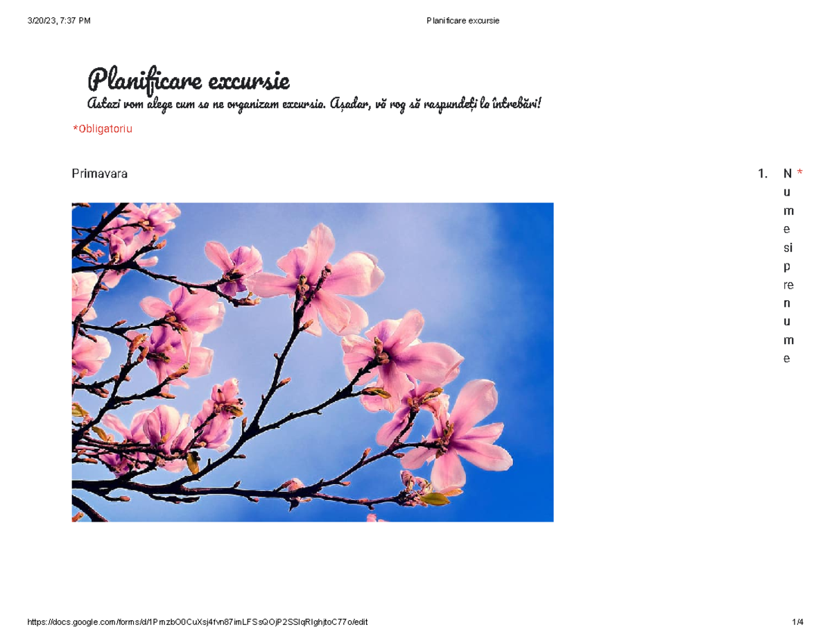 Planificare excursie - chestionar - Primavara 1. Planificar excusi ...