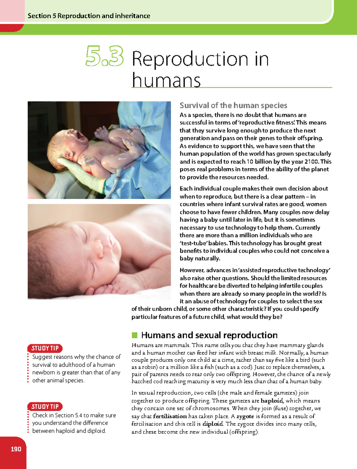 Reproduction in humans Pg 190-197 - Section 5 Reproduction and ...