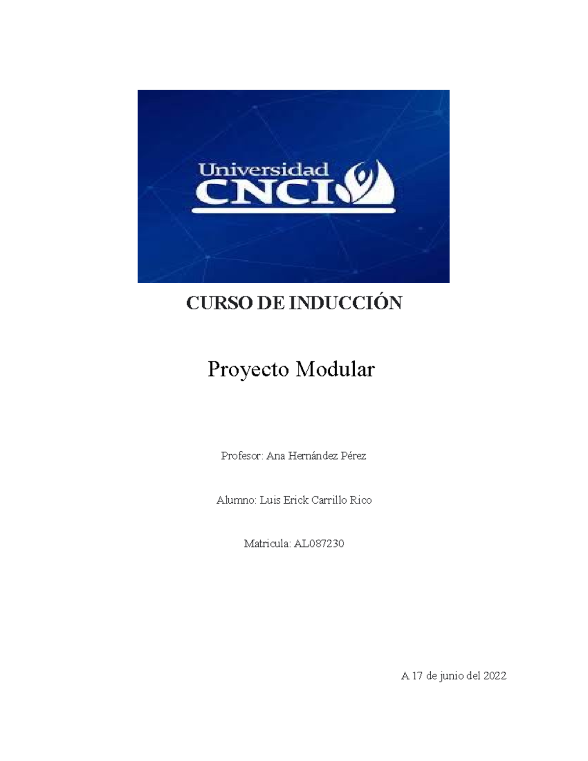 Curso DE Inducción ( Proyecto Modular) - CURSO DE INDUCCIÓN Proyecto Modular Profesor: Ana ...