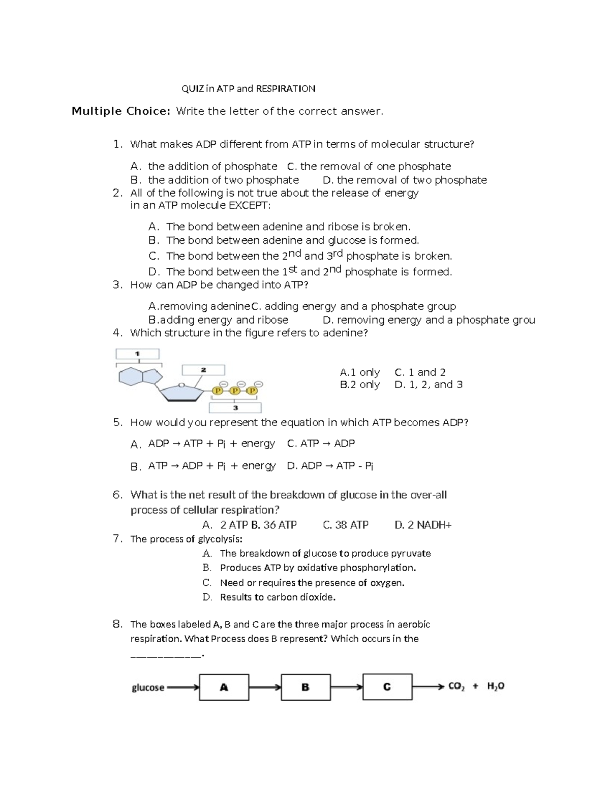 QUIZ in ATP and Respiration - QUIZ in ATP and RESPIRATION Multiple ...