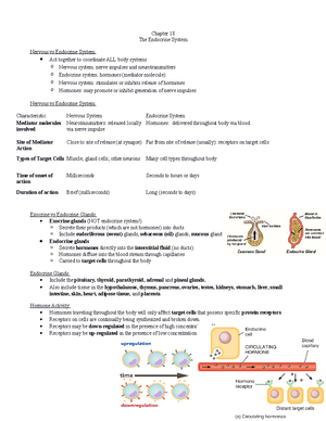 Ch 2 anatomy lecture notes - Google Docs - Anatomy Lecture Notes Dr. S ...