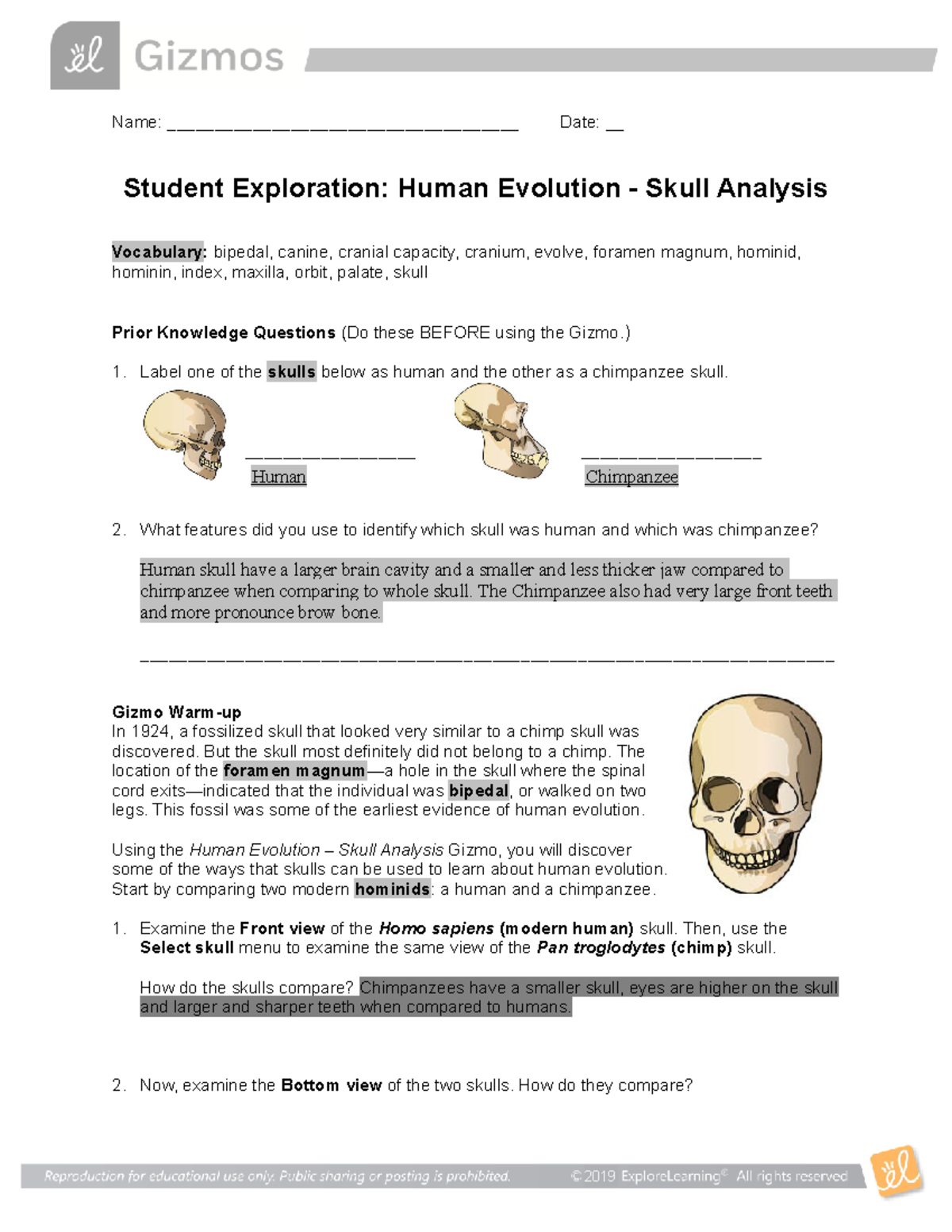 Human Evolution SE Gizmo - Name ...