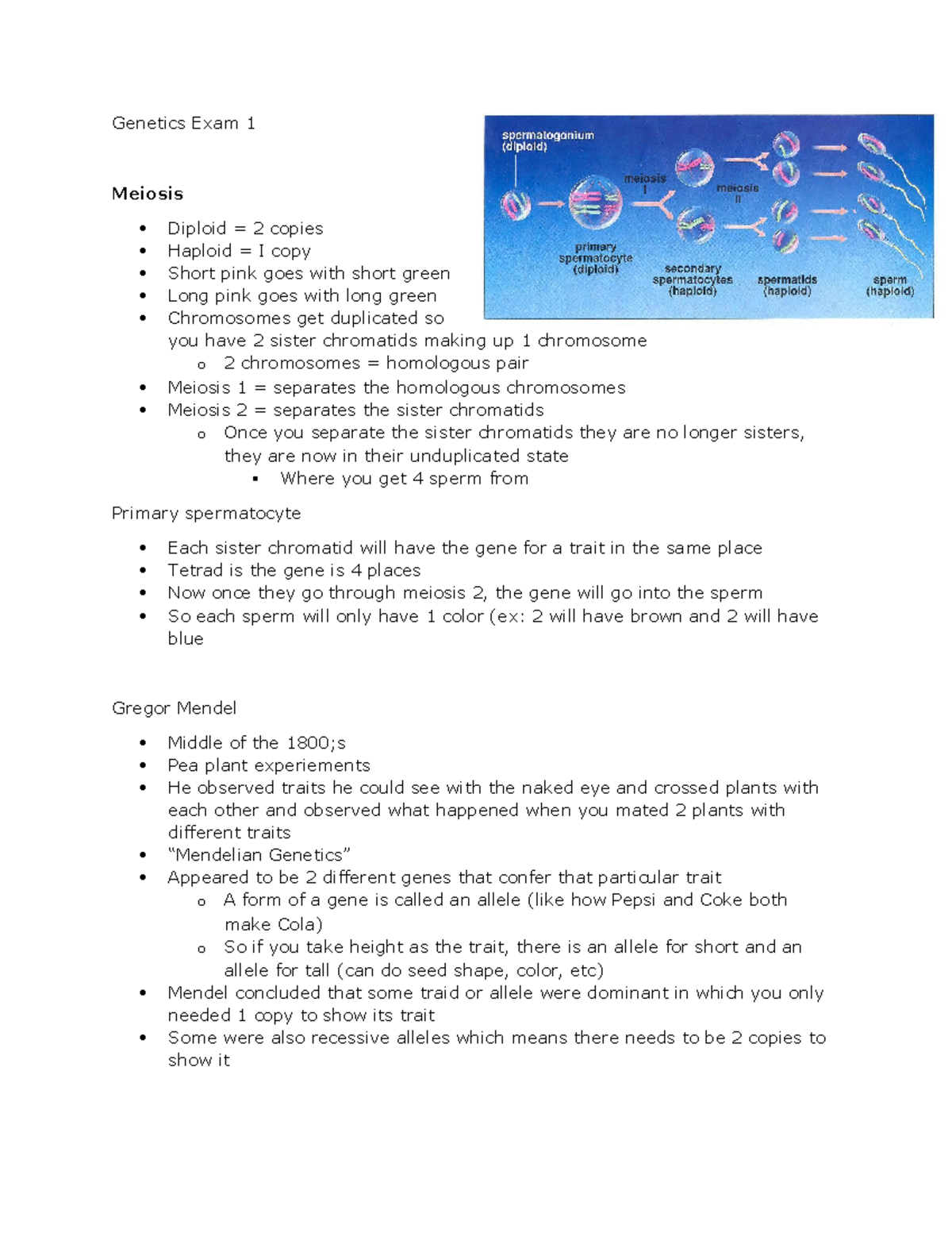 Genetics Exam 1 - word doc summary of all lecture material covered in ...