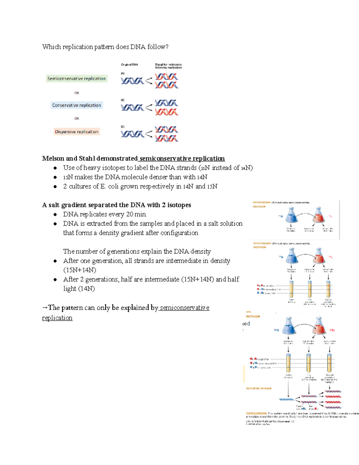 Unit 1 Lecture 2 - Bio book notes. - Which replication pattern does DNA ...