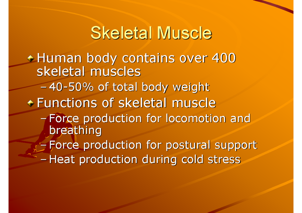 1. Physiology - Skeletal Muscle Structure - Skeletal Muscle Human body ...
