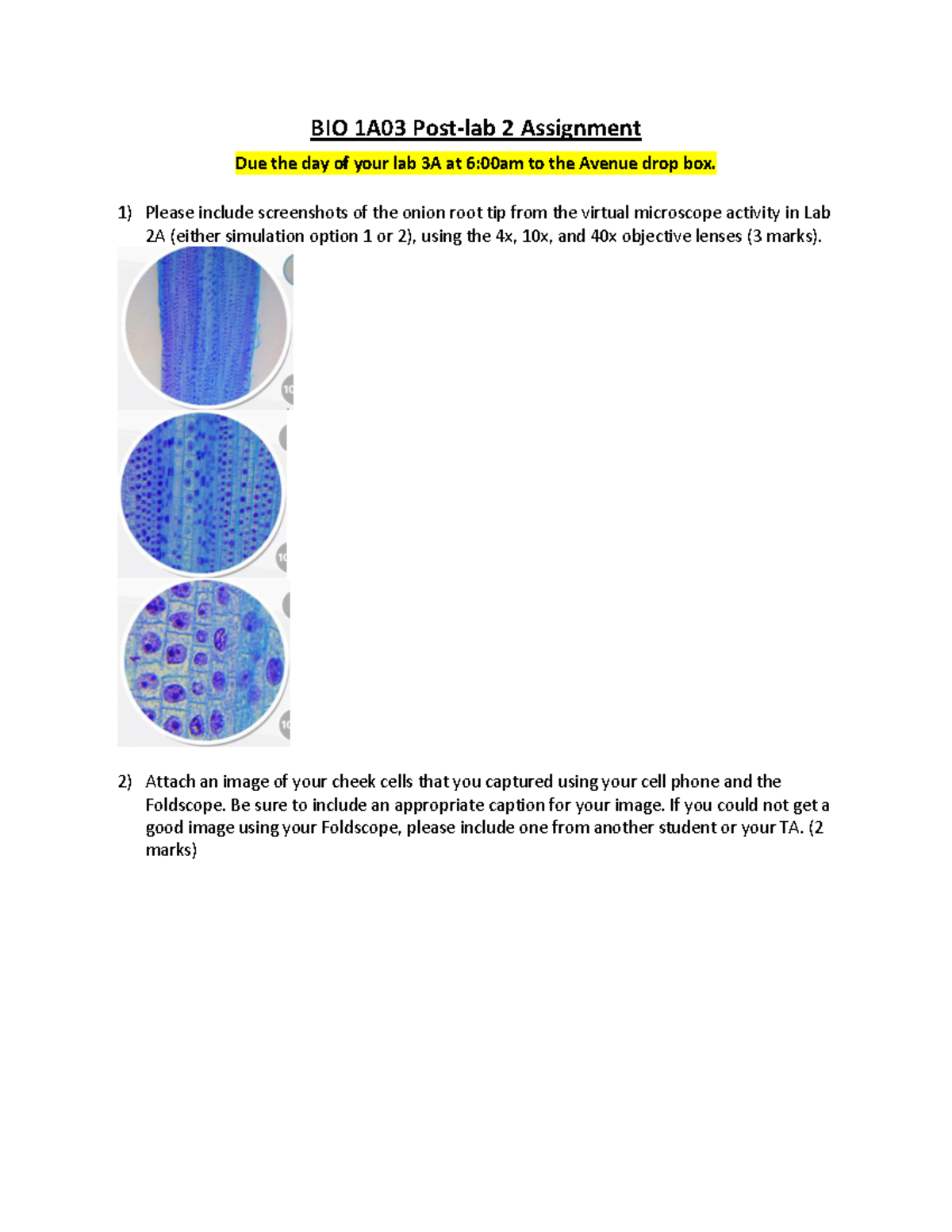 Post-lab 2 Assignment - BIO 1A03 Post-lab 2 Assignment Due the day of your lab 3A at 6:00am to ...