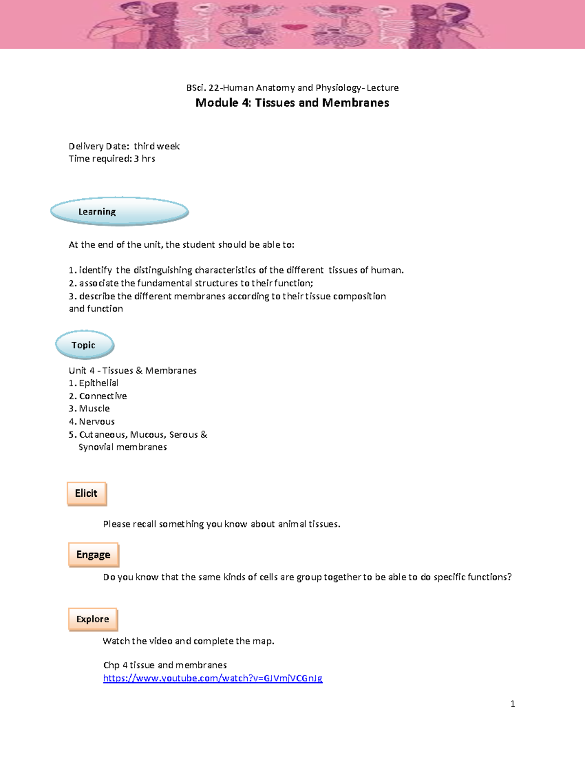 Anatomy lec module 4 Tissues DUE OCT 14 - 1 BSci. 22-Human Anatomy and Physiology- Lecture ...