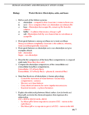 Human Anatomy and Physiology EXAM Study Guide 2 Digestion - HUMAN ...