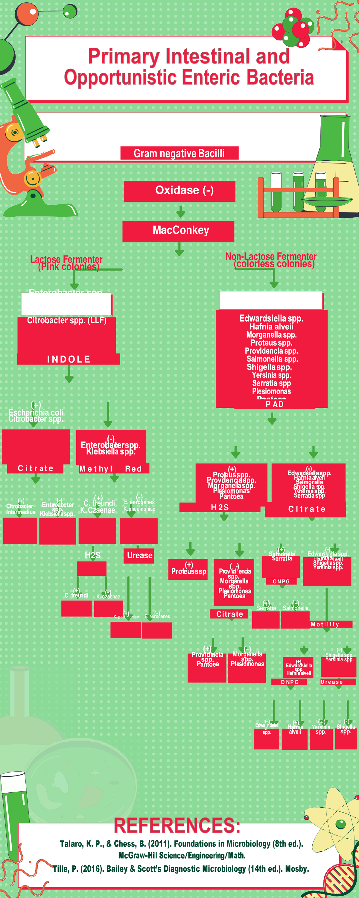 Green and Red Illustrated Process Infographic 2 converted - Gram ...