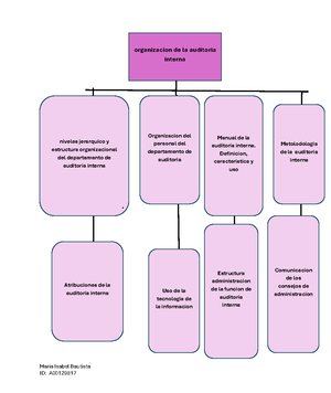 EL Auditor Predecesor Y Auditor Sucesor - Informe General EL AUDITOR ...