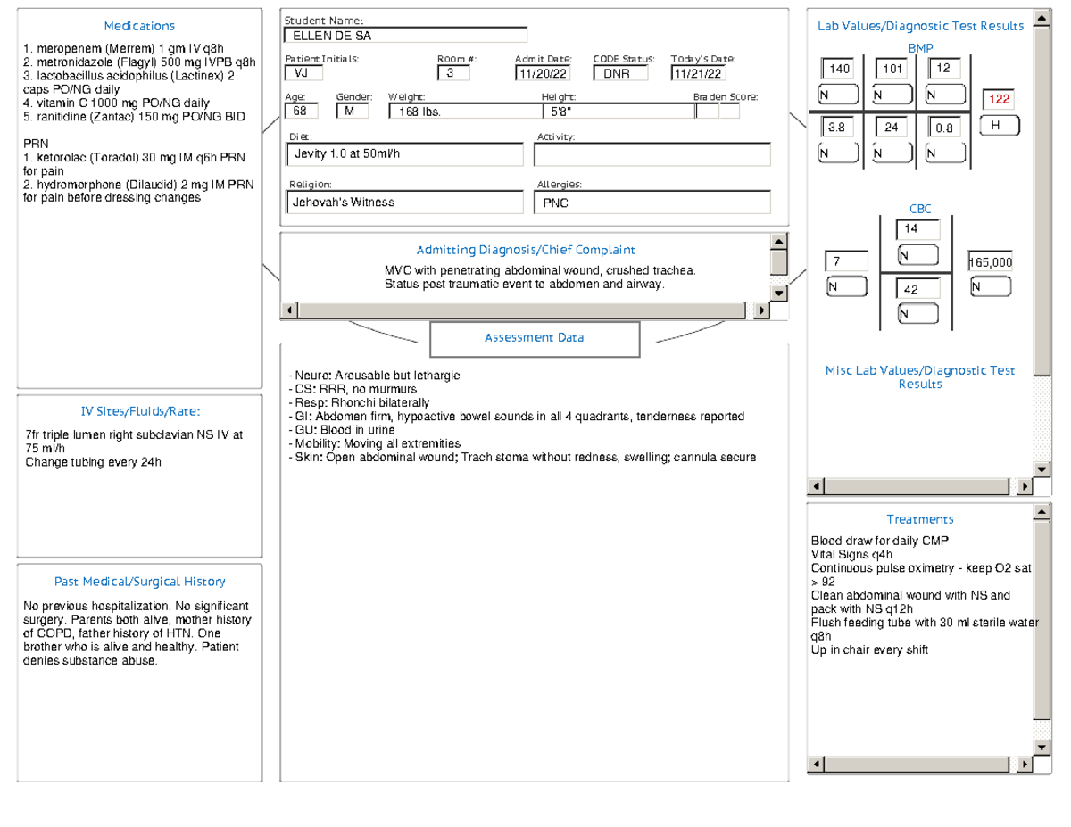 VJ Concept Care Plan - Medications XXXXXX IV Sites/Fluids/Rate: XXXXXX ...