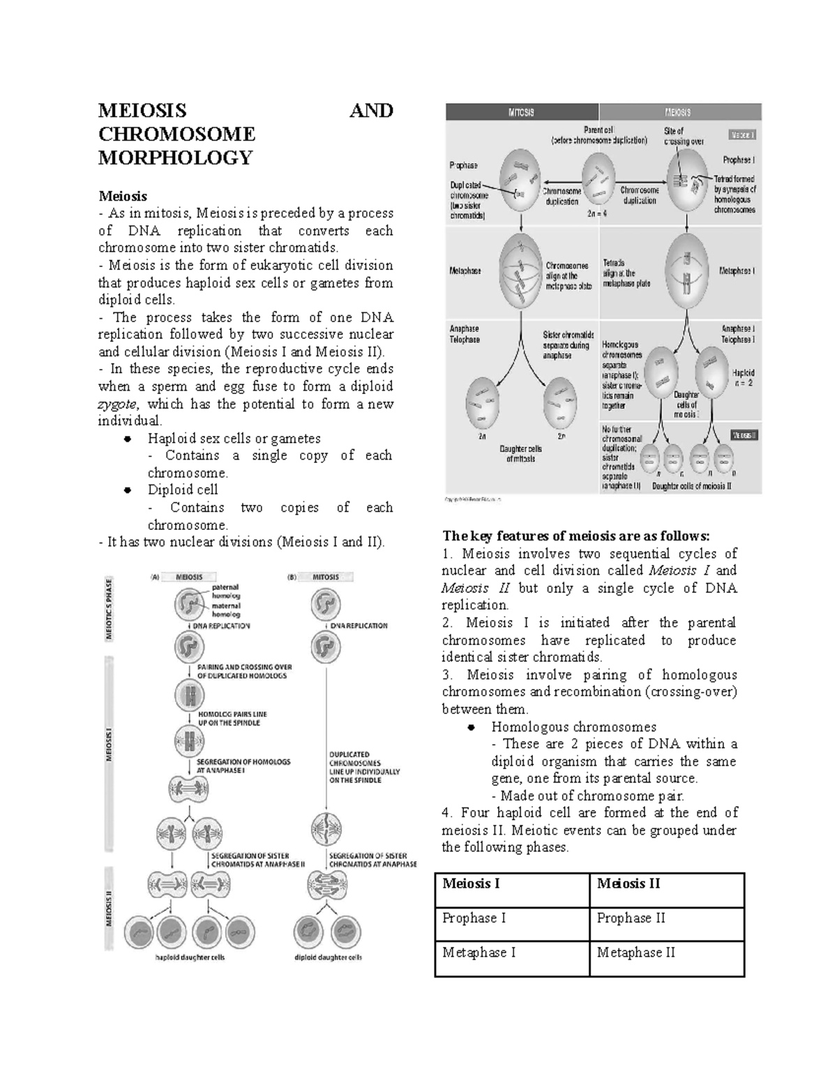Meiosis AND Chromosome Morphology - MEIOSIS AND CHROMOSOME MORPHOLOGY ...