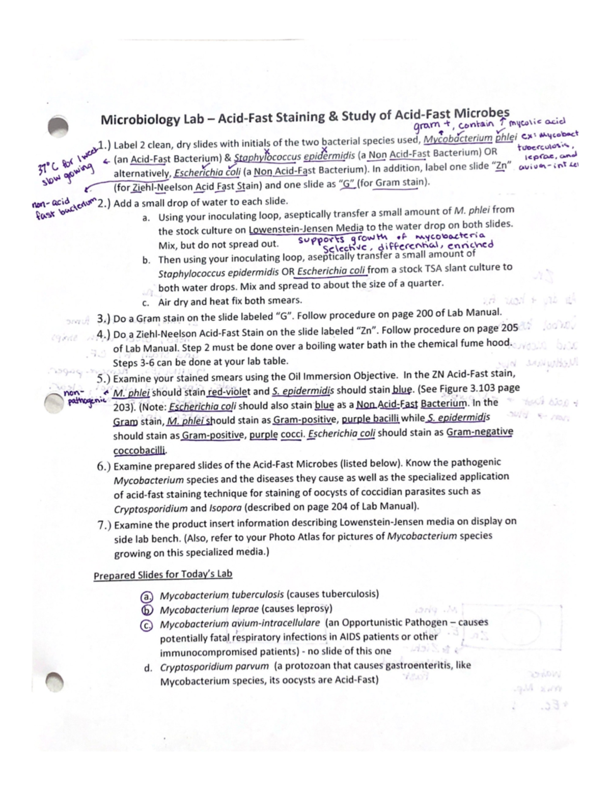 Acid fast staining and study of acid fast microbes - MCB 2010C - Studocu