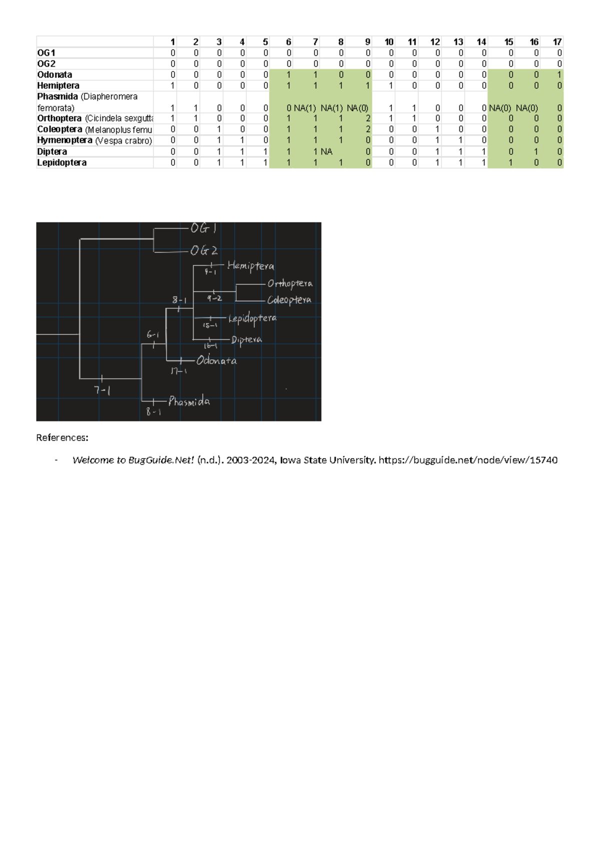 Assignment 4 - Biology 3Ff3 - Phasmida (Diapheromera - OG1 OG2 Odonata ...