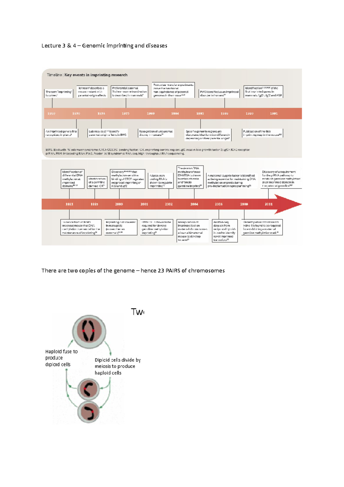 Lecture 3 & 4- Genomic Imprinting notes - Lecture 3 & 4 – Genomic ...